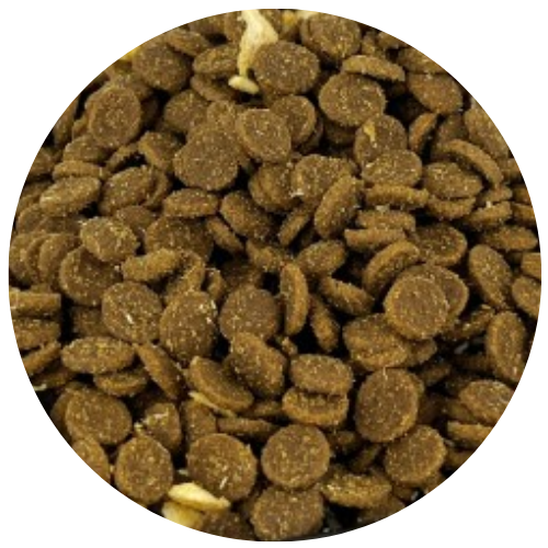 RICH CHOICE HOLISTIC SENSITIVE SKINCARE - Rich Choice Holistic